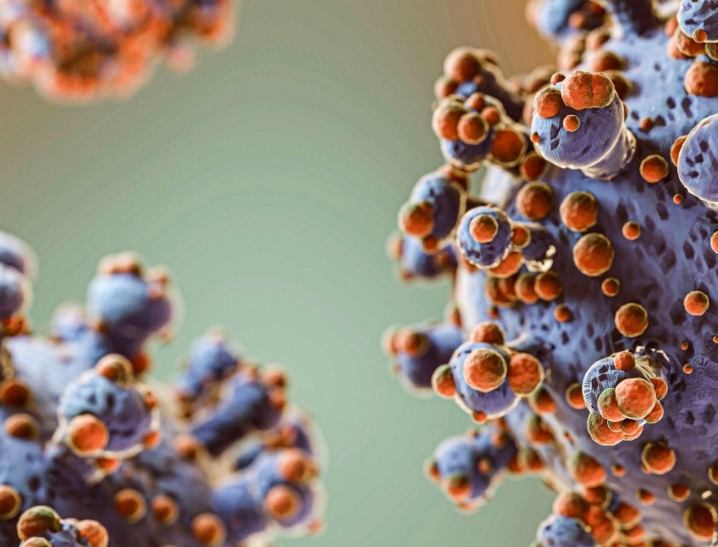 Nova variante da mpox é detectada em dois países e preocupa OMS; saiba ...
